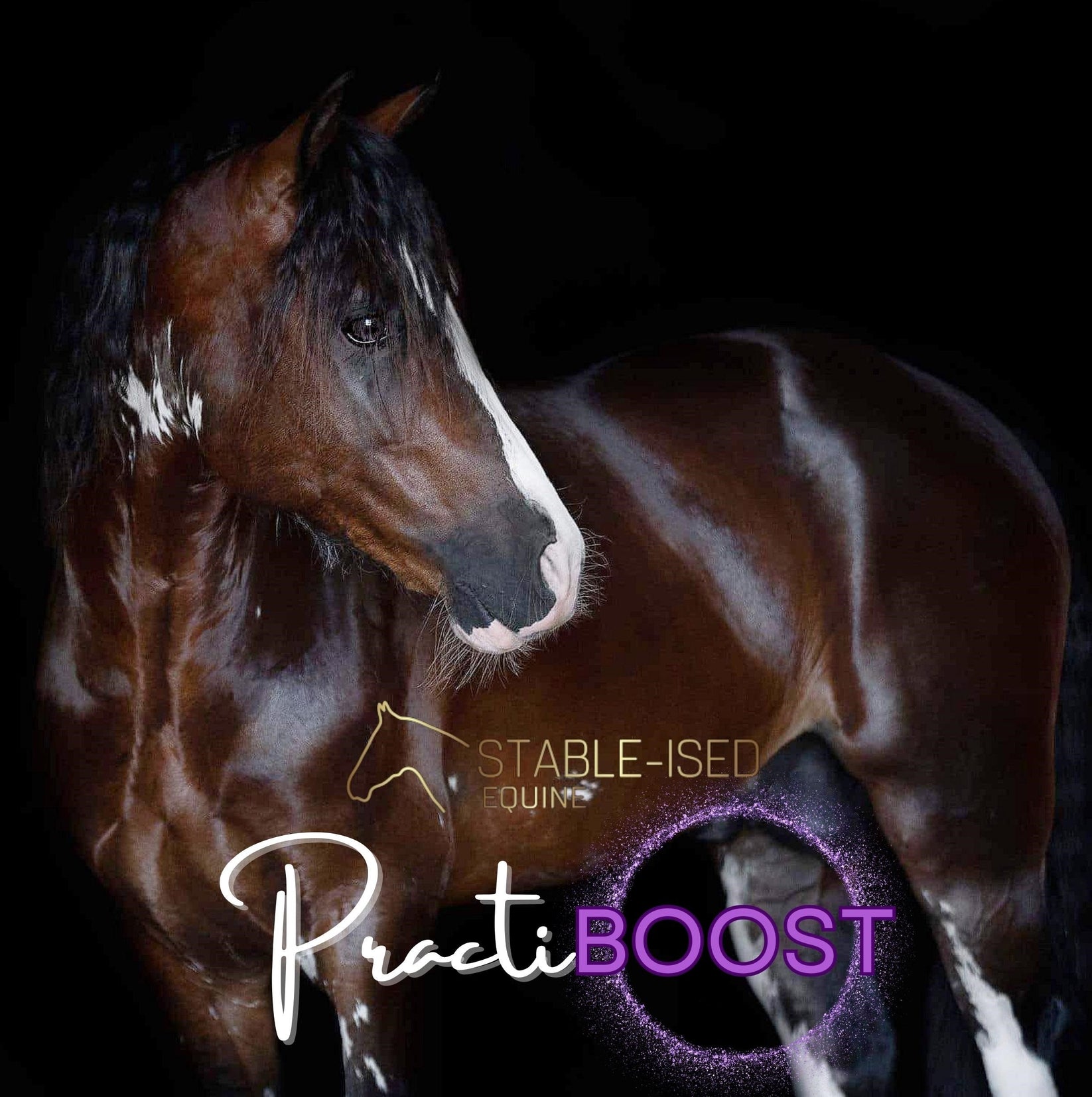 PractiBOOST – Stable-Ised Equine Pty Ltd