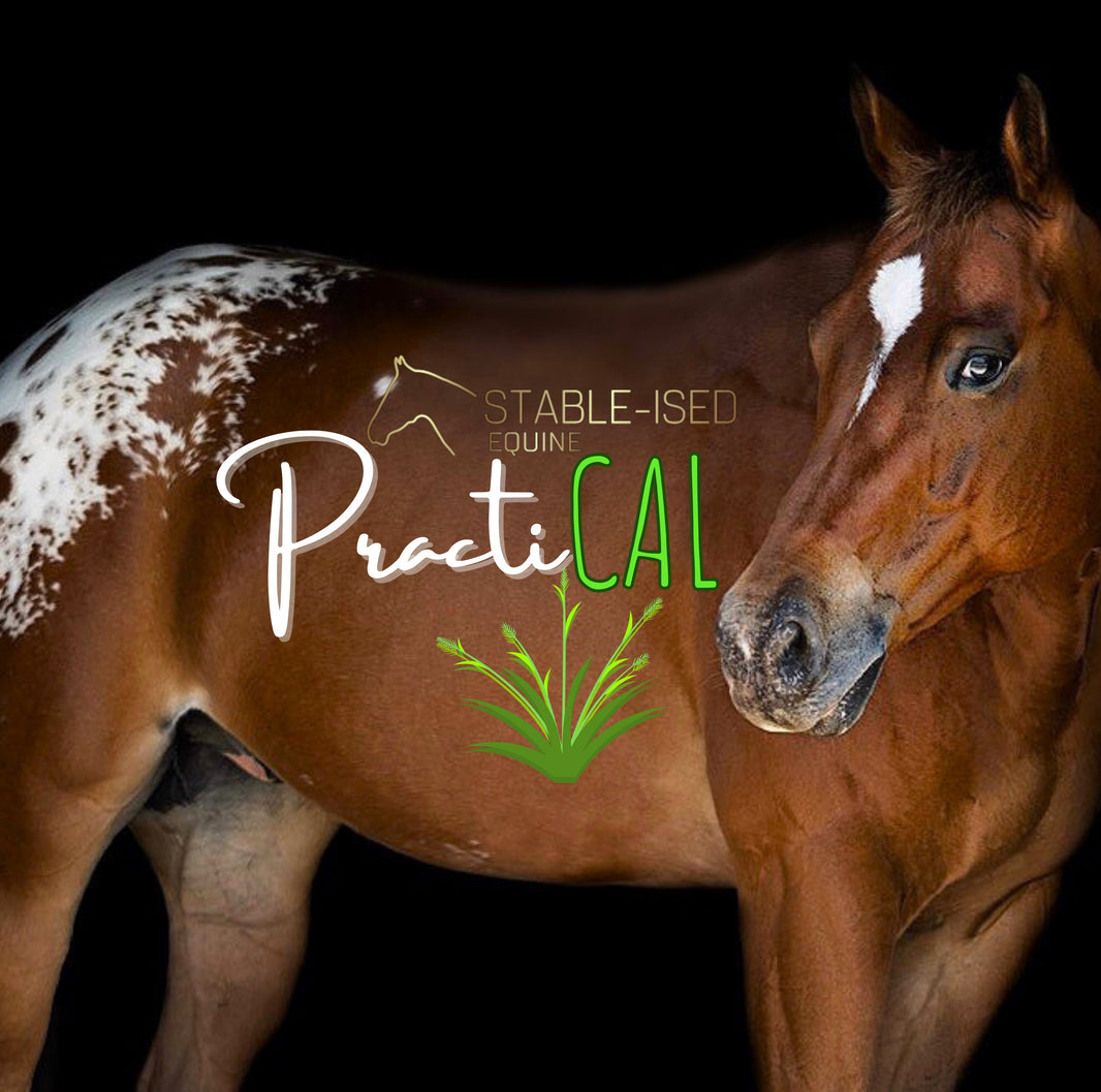 Stable-Ised Equine Pty Ltd