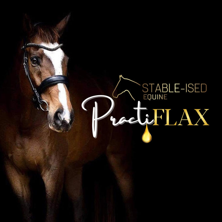 Stable-Ised Equine Pty Ltd