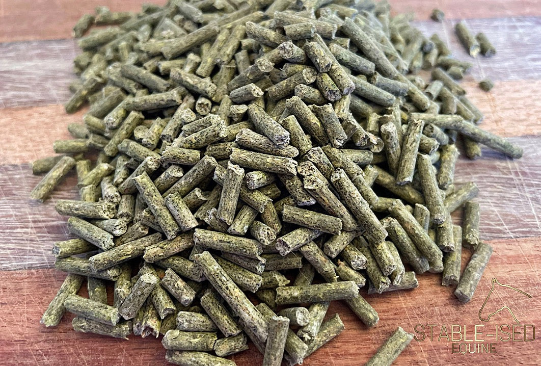 PractiCAL – Stable-Ised Equine